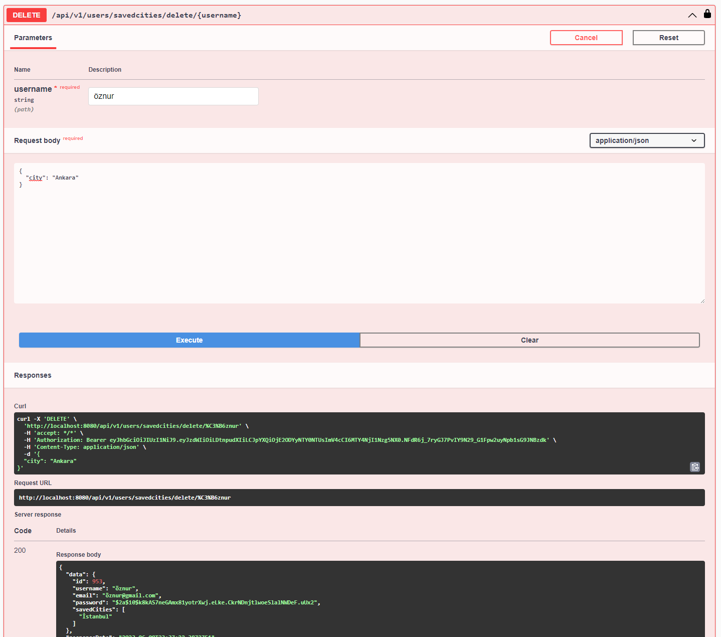 GitHub - oznurkandakoglu/bootcamp-finalcase