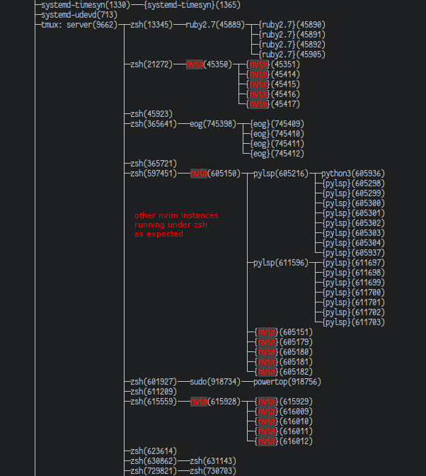 Fishy nvim behavior: high CPU usage, unexpected parent process · Issue ...