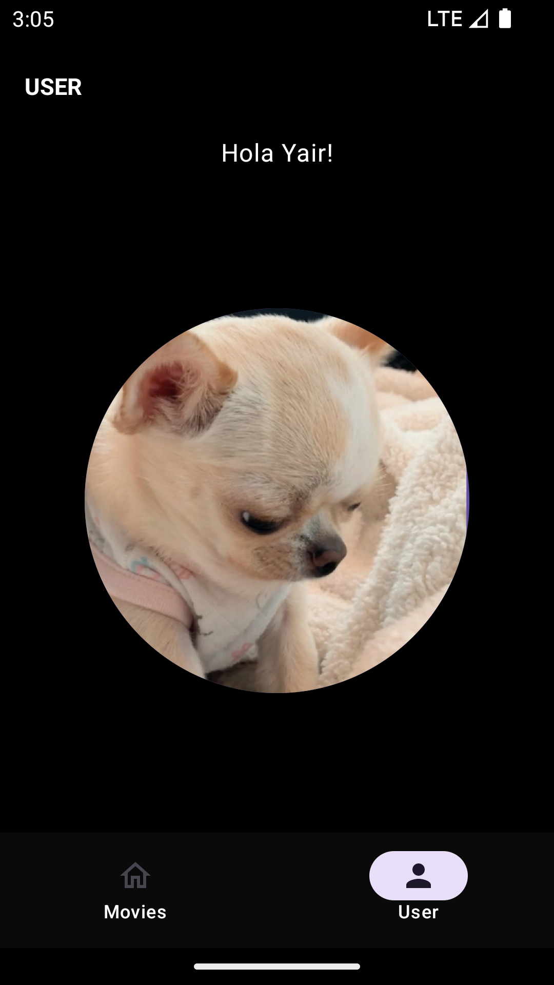 GitHub - YairRGL/TheMovieDB-App: Android app, Kotlin, Compose, NavigationComponent, Coil, ROOM