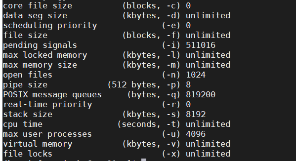 can not get the bam files using pipeline bwa mem | samtools view -Sb ...