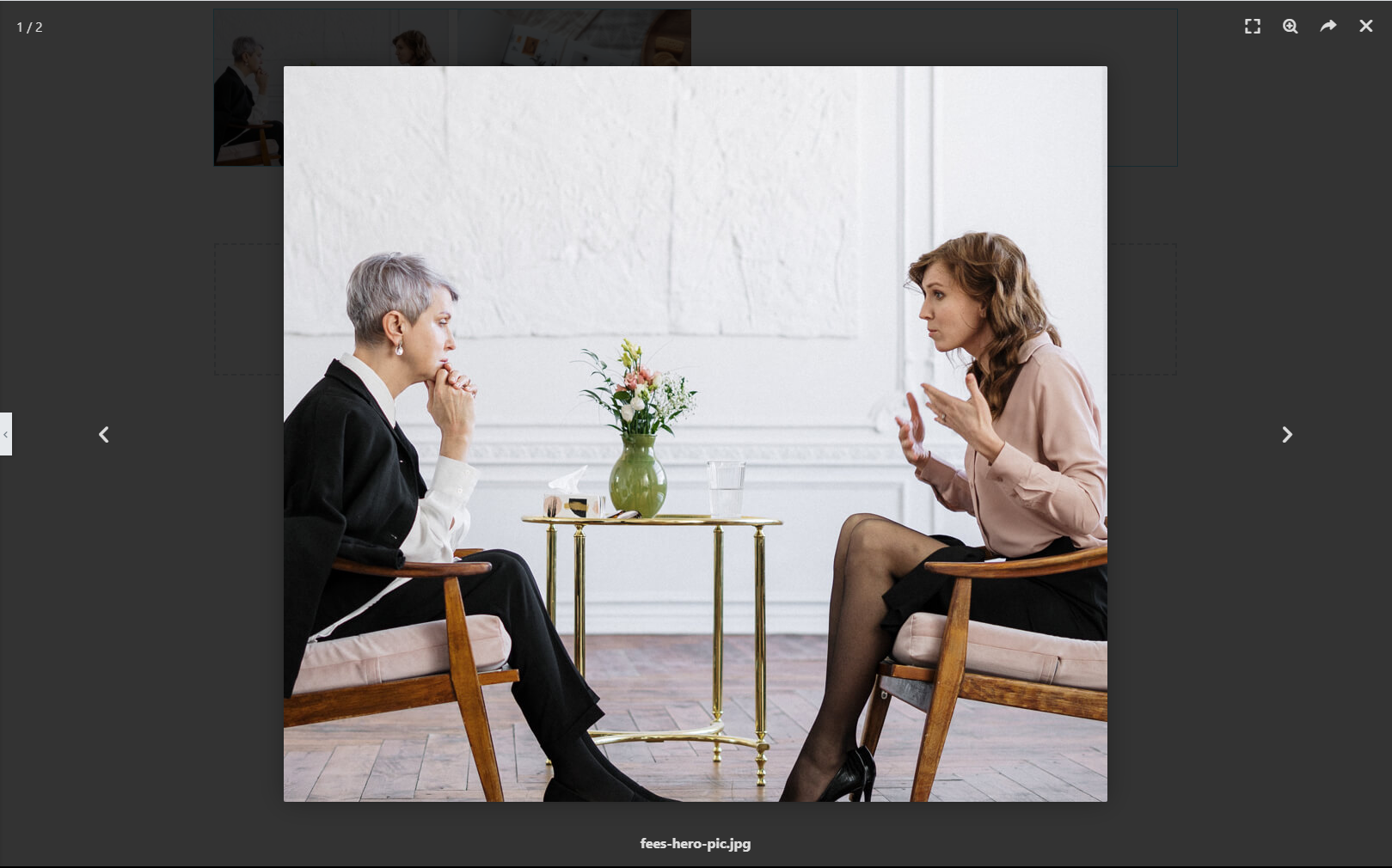 Image lightbox styling in the Theme Builder · Issue #14678 · elementor/elementor · GitHub