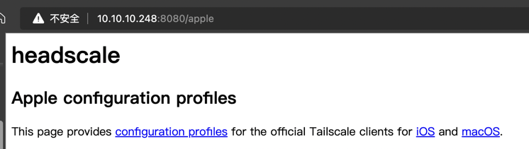 Some questions and suggestions about headscale-ui · Issue #36 · gurucomputing/headscale-ui · GitHub