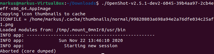 Can't start up Appimage on Ubuntu 20.10 · Issue #3859 · OpenShot/openshot-qt · GitHub