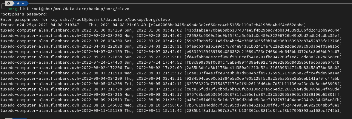 No ssh connection · Issue #1393 · borgbase/vorta · GitHub