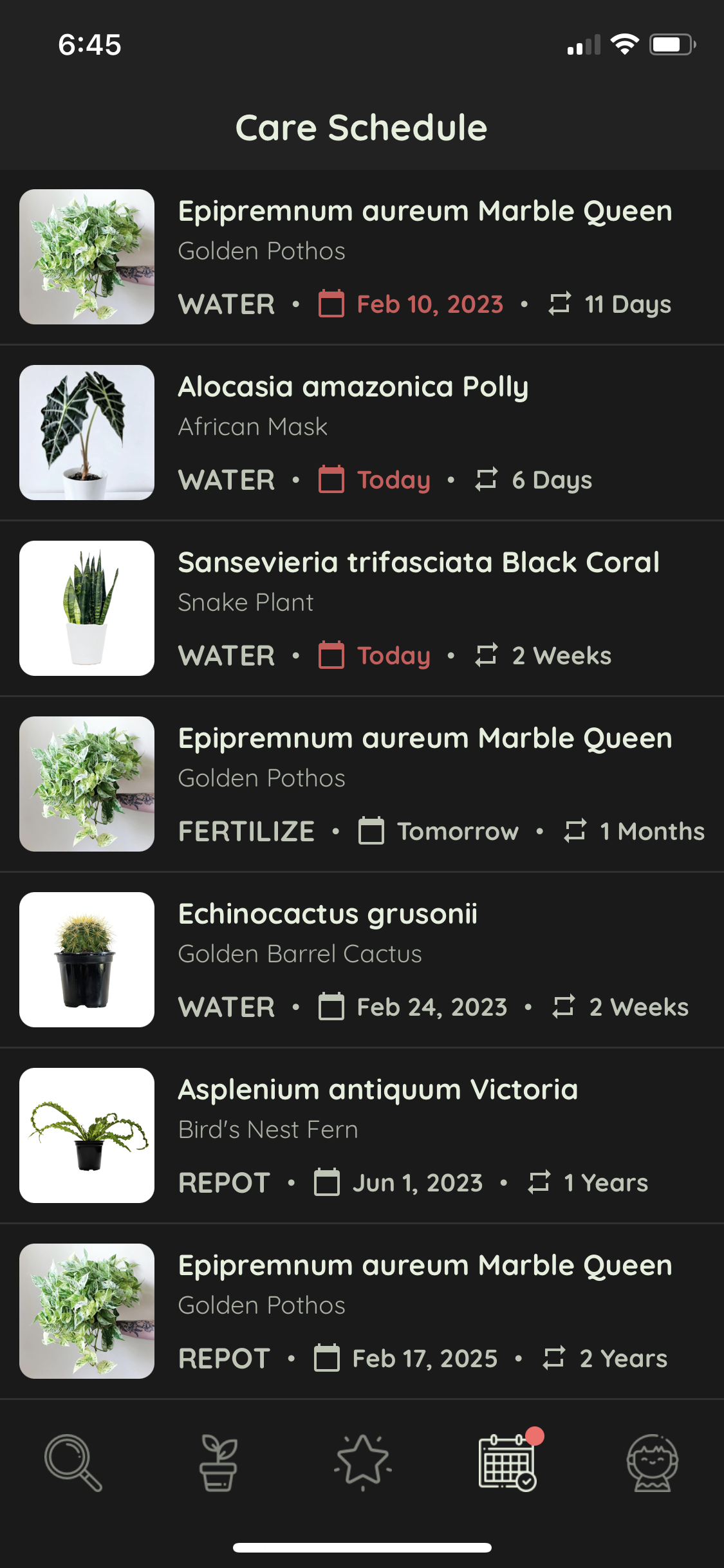 GitHub - v-prt/plantgeek-app: Cross-platform mobile app for plantgeek. Manage your collection ...