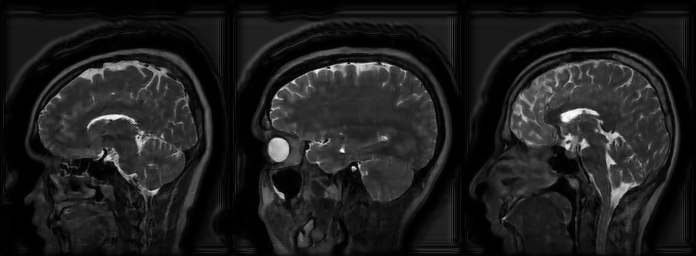 GitHub - ChicagoPark/IndependentStudy: WashU Research Course