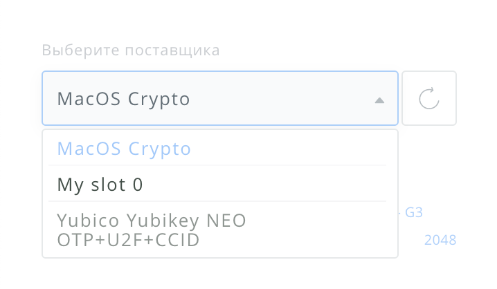 Double check displayed token name · Issue #356 · PeculiarVentures/fortify · GitHub