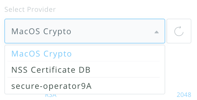 Double check displayed token name · Issue #356 · PeculiarVentures/fortify · GitHub