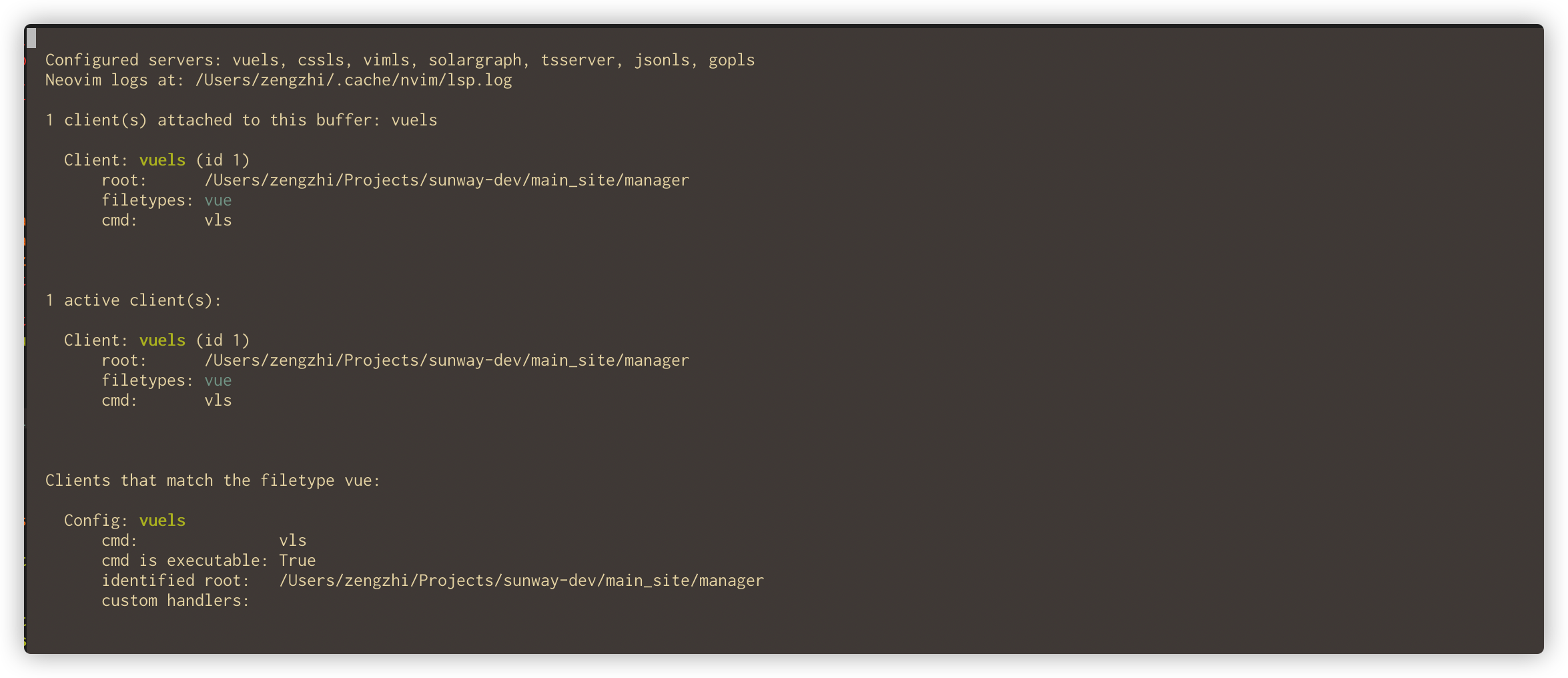 Formating Not Work For Vue Language Server Vls · Issue 821 · Neovimnvim Lspconfig · Github