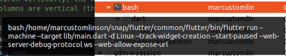 Dart Processes Get Left Behind When Builds Fail · Issue 2574 · Dart Code Dart Code · Github