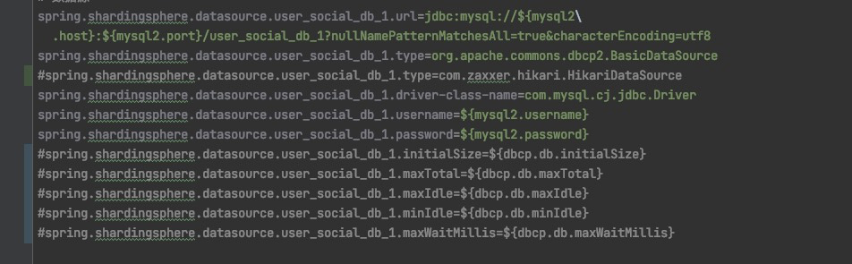 (solved)Caused by: org.apache.shardingsphere.infra.exception.ShardingSphereException: Can't find ...