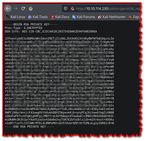 GitHub - iB3RLiN/Brute-It-CTF: Brute It CTF Write up