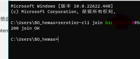 Win11 can't connect · Issue #1731 · zerotier/ZeroTierOne · GitHub