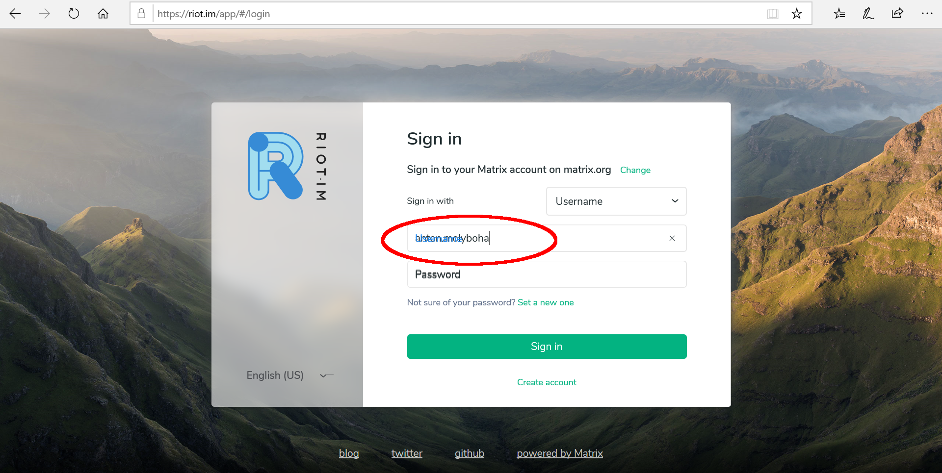 Text field description remains visible behind typed text (login screen ...