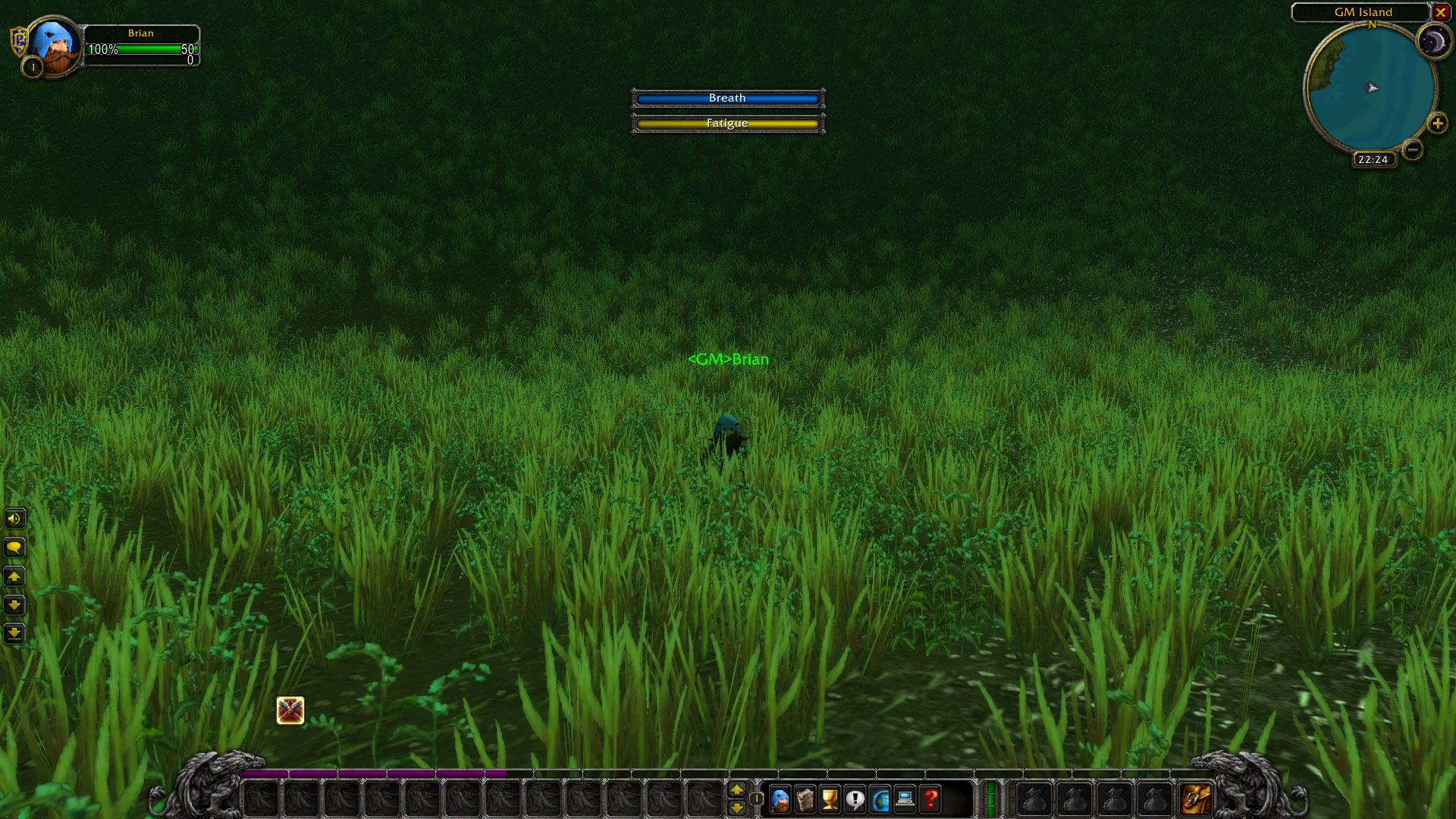 No visible water + physics in GM_Island · Issue #286 · WowLegacyCore/HermesProxy · GitHub