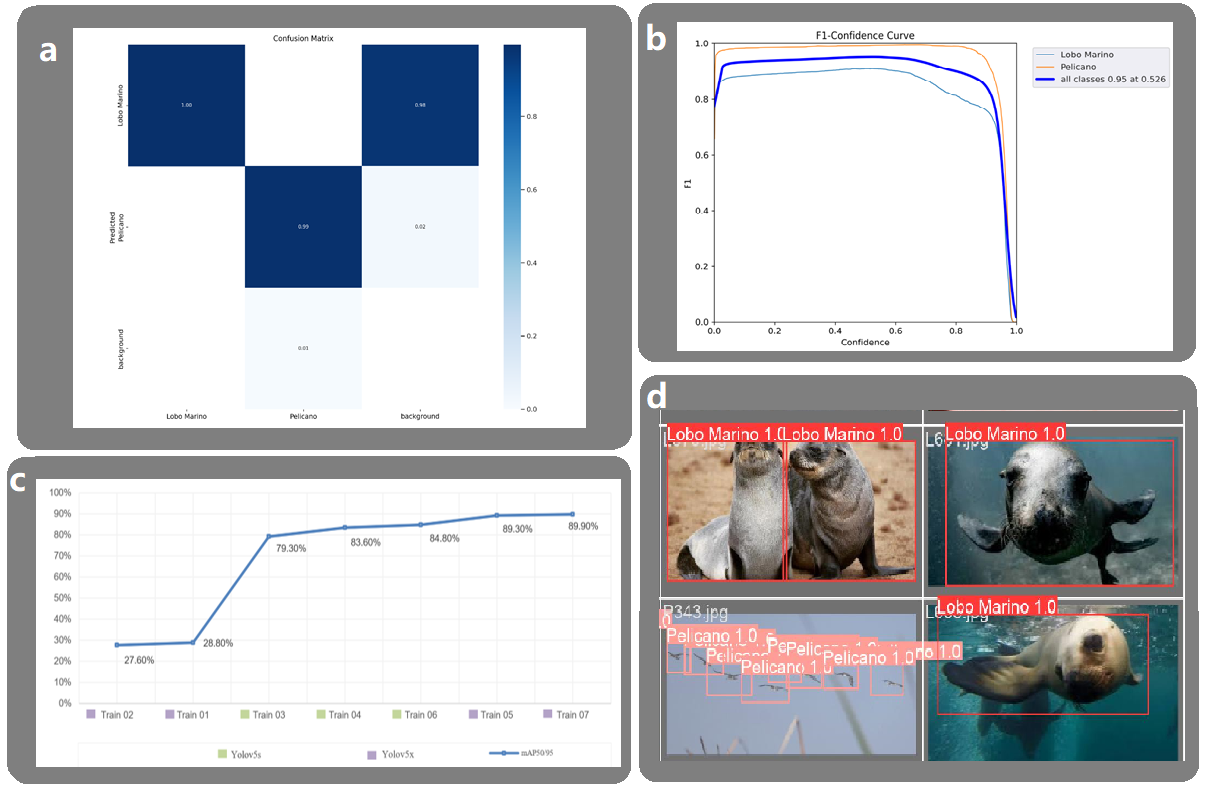 GitHub - DavidHospinal/MPREAC-OCEANAPP: Sistema para el reconocimiento de las especies en la ...