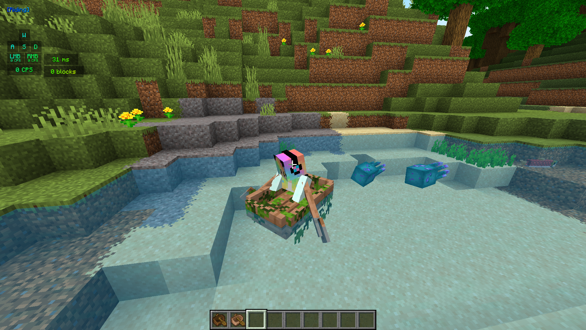 [CEM] Boat wrong renders the skin when using CEM · Issue #5675 · sp614x/optifine · GitHub