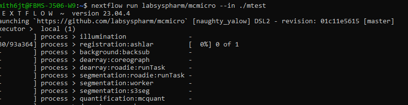 MCMICRO not recognizing params.yml file · Issue #520 · labsyspharm/mcmicro · GitHub