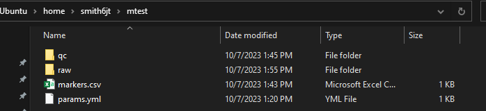 MCMICRO not recognizing params.yml file · Issue #520 · labsyspharm/mcmicro · GitHub