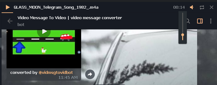 [Feature Request] Adjusting Volume in Voice Chat and Video message ...