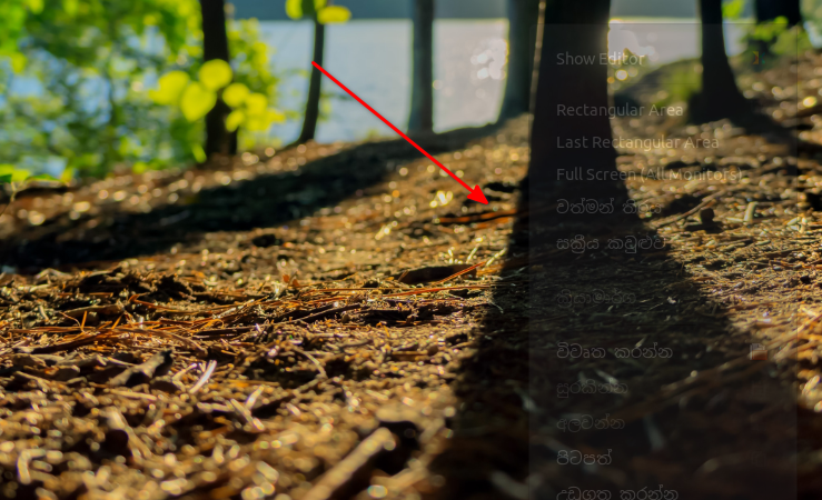 Prevent capture ksnip software or its windows · Issue #838 · ksnip/ksnip · GitHub