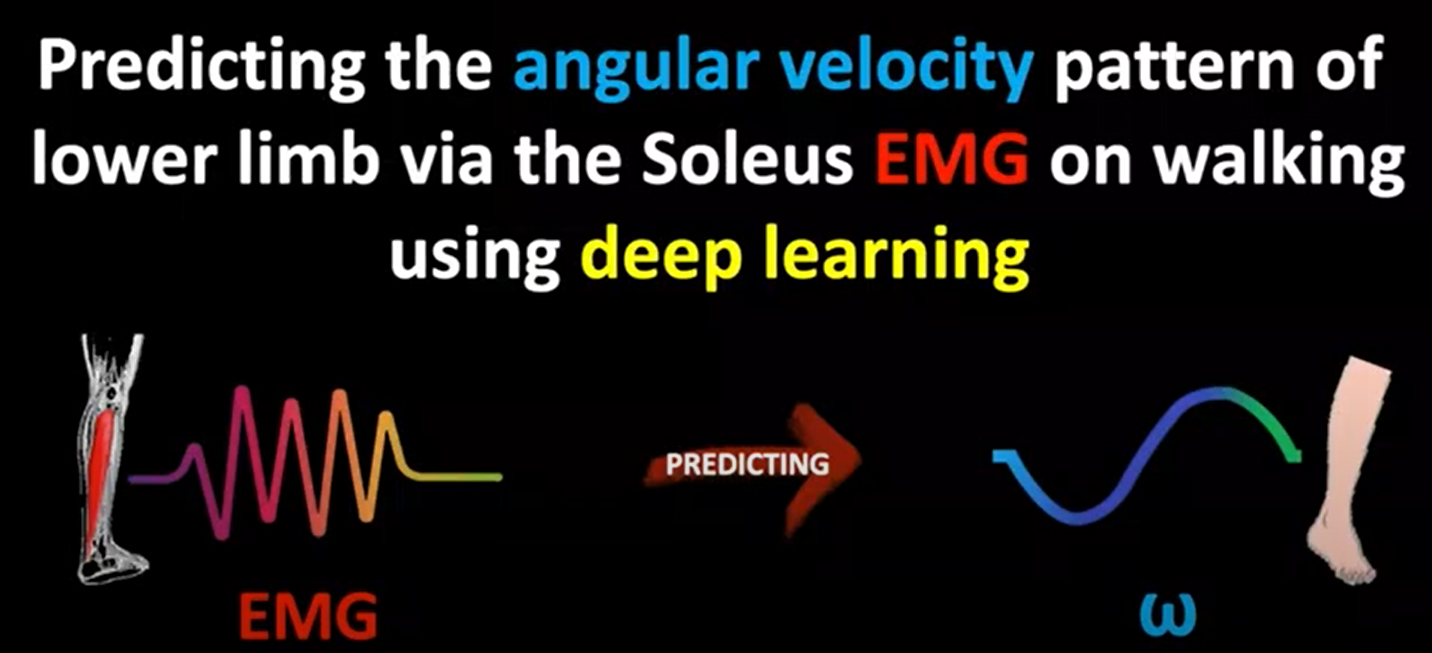 GitHub - ykk271/MATLAB_Predicting_Motion_Via_EMG_Using_ANN: 머신러닝과 딥러닝 ...