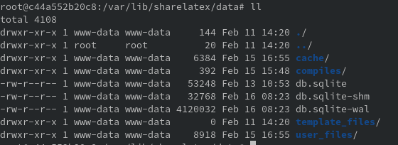 XeLaTeX not available on Clean Install · Issue #837 · overleaf/overleaf · GitHub