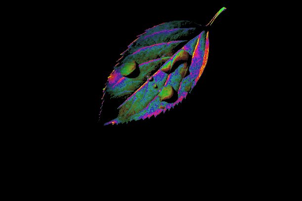 GitHub - albehma/ddelements: Detecting and isolating disturbing element from a clean surface.