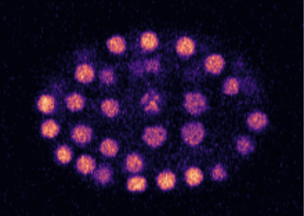 problem fine tuning segment anything model · Issue #294 · NielsRogge/Transformers-Tutorials · GitHub