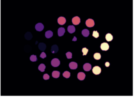 problem fine tuning segment anything model · Issue #294 · NielsRogge/Transformers-Tutorials · GitHub