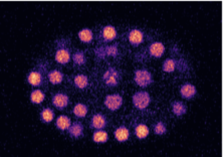 CellSAM: Fine-Tuning Segment Anything Model on C. elegans Cell Images GSoC 2023 · GitHub