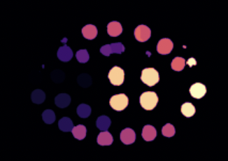 CellSAM: Fine-Tuning Segment Anything Model on C. elegans Cell Images GSoC 2023 · GitHub