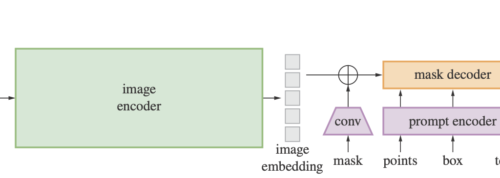 CellSAM: Fine-Tuning Segment Anything Model on C. elegans Cell Images GSoC 2023 · GitHub