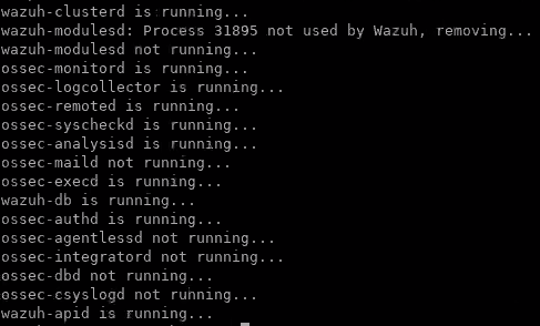 Wazuh-modulesd segfault error 4 · Issue #9070 · wazuh/wazuh · GitHub