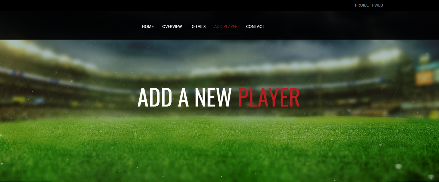 GitHub - danytintea/Project-PWEB