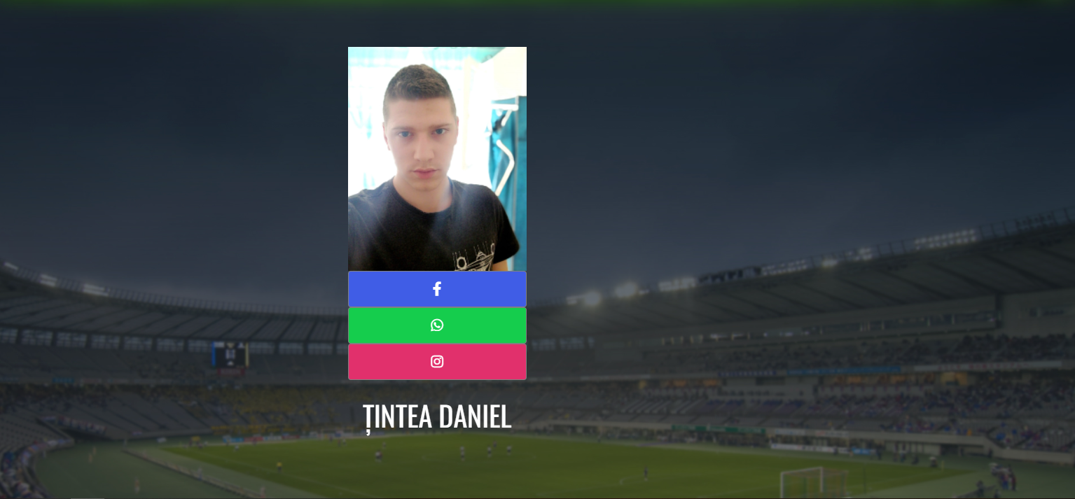 GitHub - danytintea/Project-PWEB