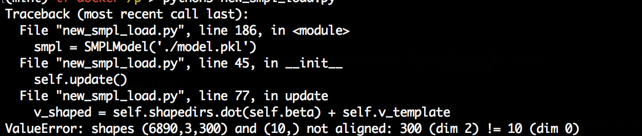 load smpl model Error · Issue #68 · CalciferZh/SMPL · GitHub