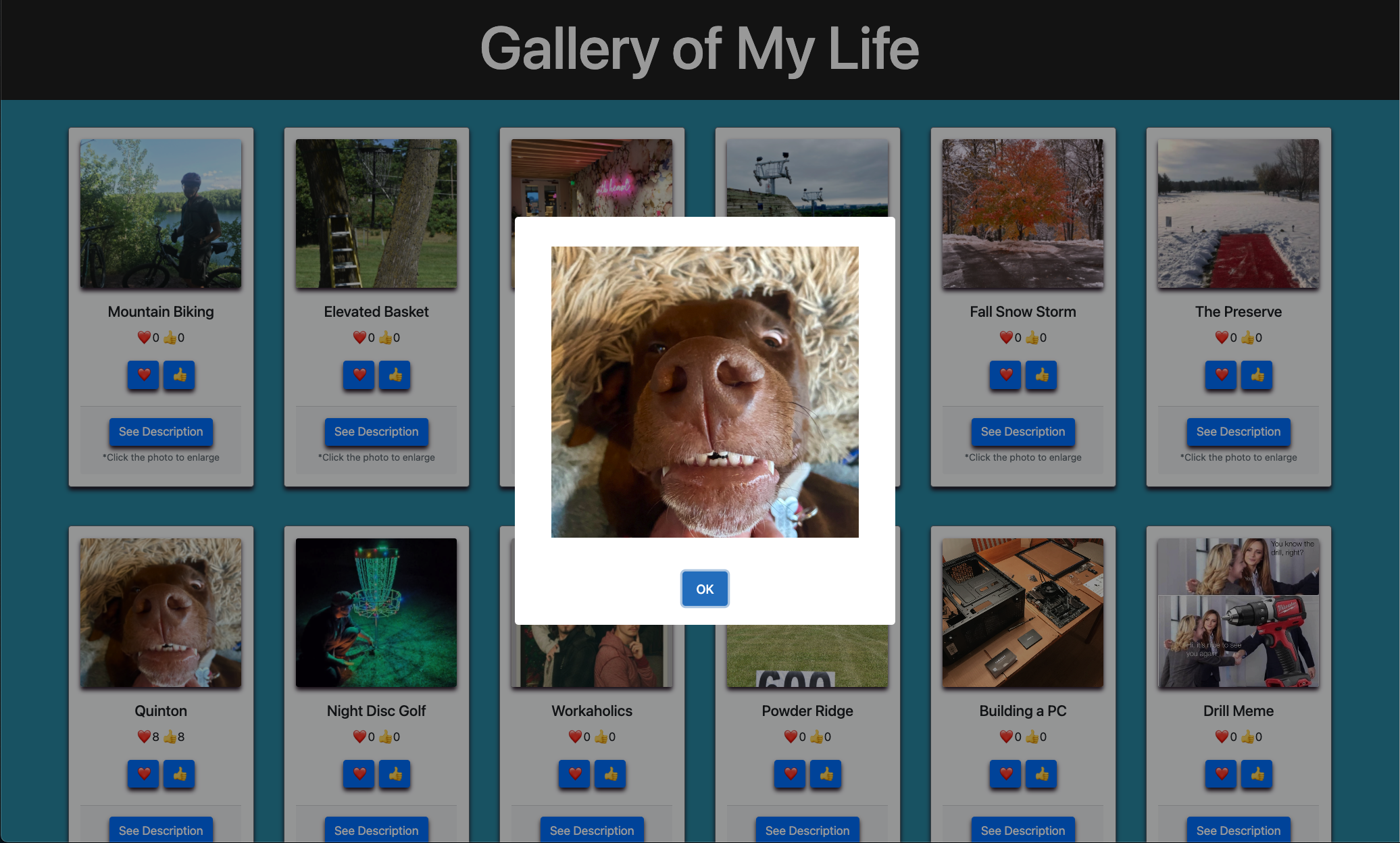GitHub - collin-radichel/react-gallery