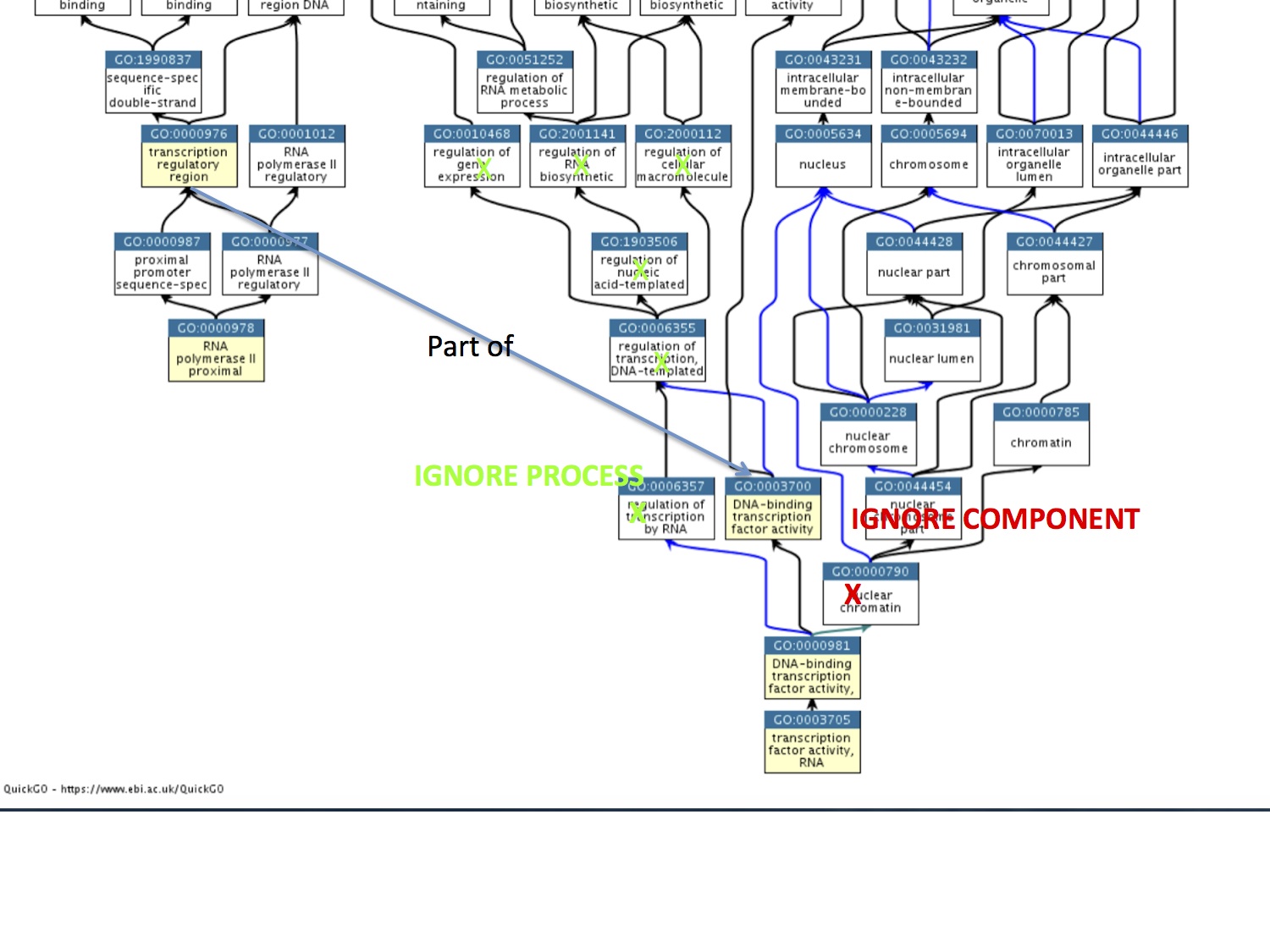 Merge terms transcription factor activity, RNA polymerase II distal ...