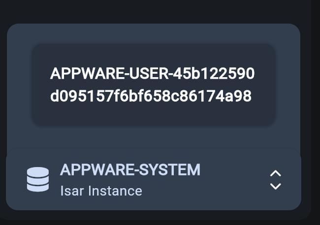 Isar Insepctor dont support secondary Instance · Issue #699 · isar/isar · GitHub