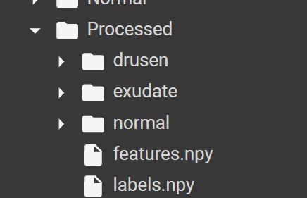 GitHub - mernatamerrh19/Retinal-Image-Classification