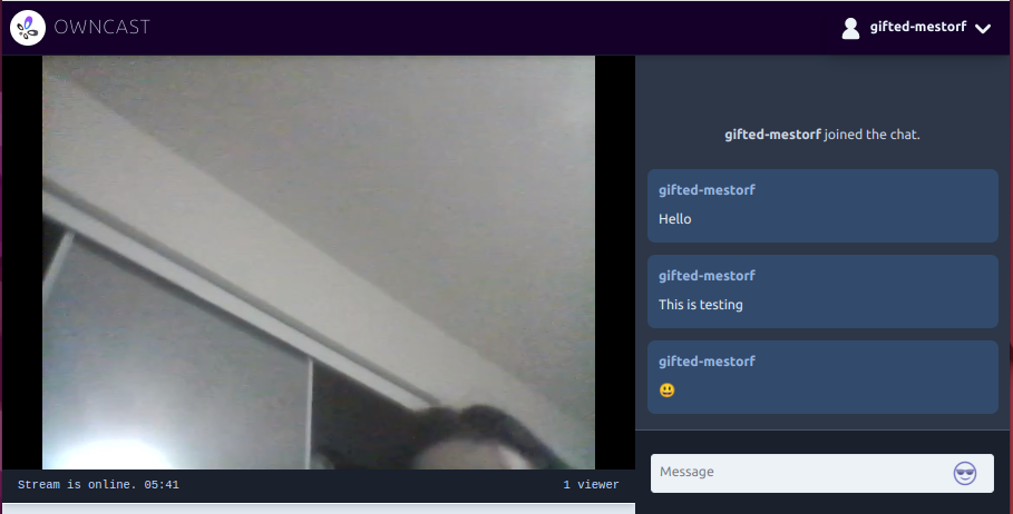 Height of chat sidebar overflows · Issue #2503 · owncast/owncast · GitHub