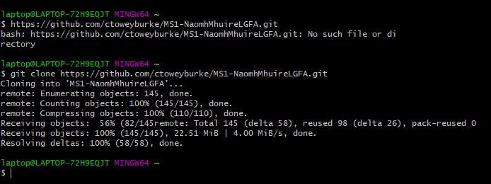 GitHub - ctoweyburke/MS1-NaomhMhuireLGFA: A website about Naomh Mhuire Ladies Gaelic Football ...