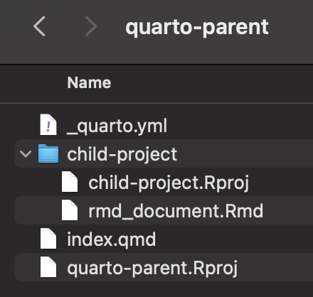 Projects stored in subfolders inherit the rendering settings from the parent directory · Issue ...