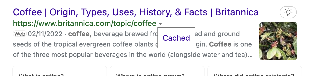 [Bing Search API] `cached_page` for `organic_results` is not parsed · Issue #528 · serpapi ...