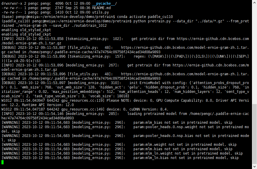 预训练的时候在加载模型的过程中卡住 · Issue #917 · PaddlePaddle/ERNIE · GitHub