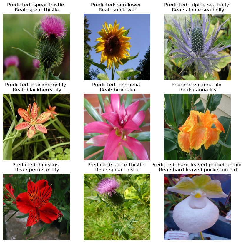 GitHub - AdityaKulshrestha/102-Oxford-Image-Classification