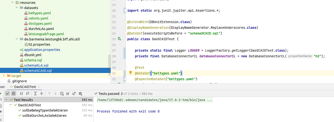 Multiple Schema.sql only run locally · Issue #448 · database-rider/database-rider · GitHub