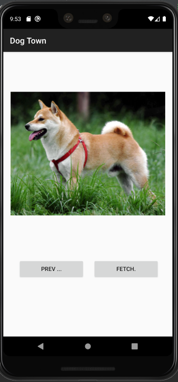 GitHub - abraham-jim/Dog-town: An app that displays images of dogs ...