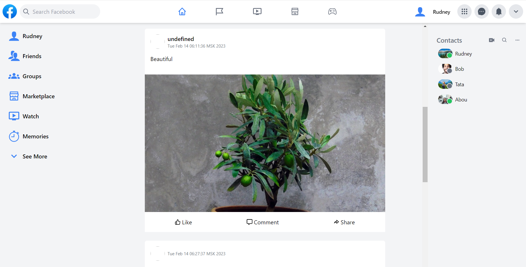 GitHub - rudney5000/Facebook-Post